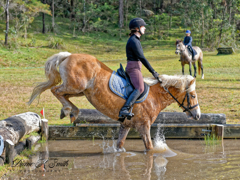 Fernances Creek Rialta - 7 yo mare - pony club-adult- eventing AHBSA